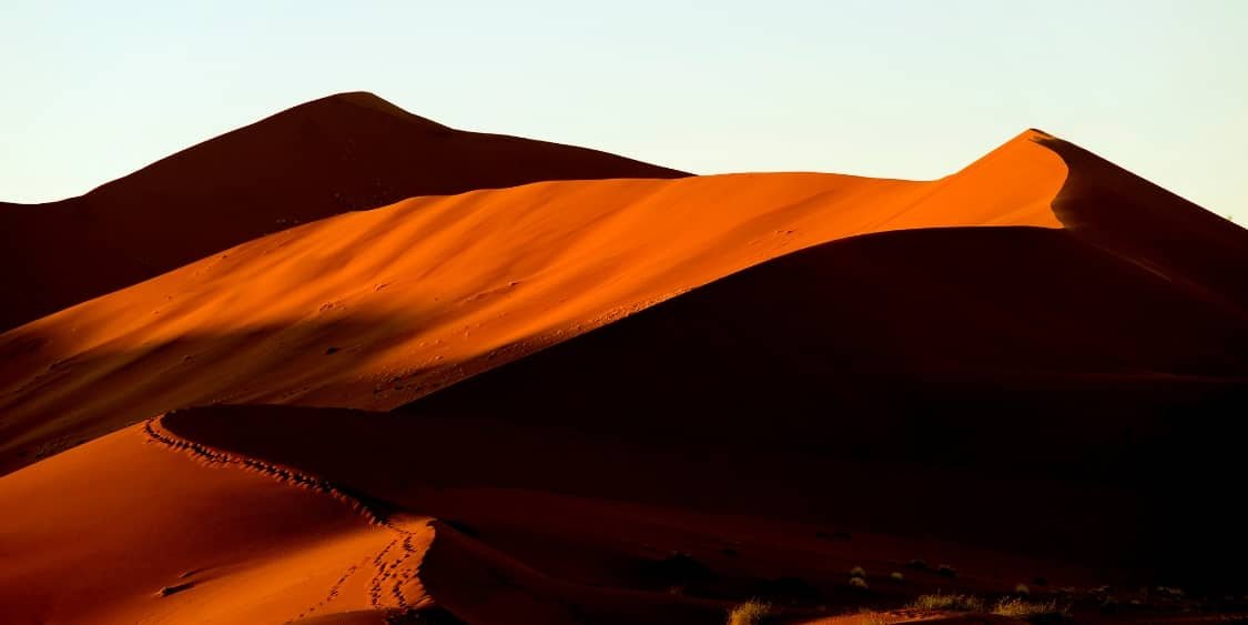 Big Daddy : Une des Plus Hautes Dunes du Monde en Namibie